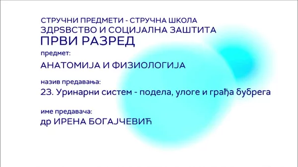 SŠ1 – Anatomija i fiziologija, 23. čas: Urinarni sistem – podela, uloge ...