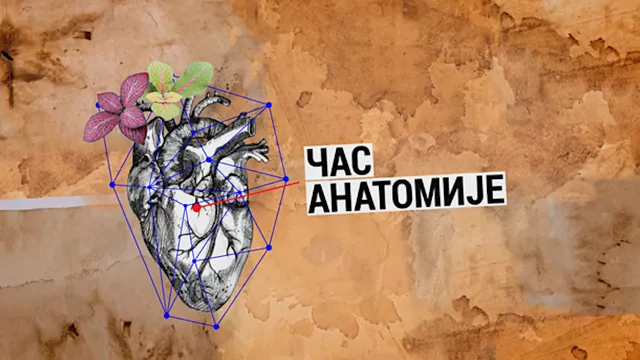 Čas anatomije - RTS Planeta