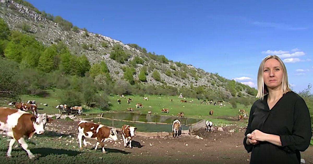 Kvadratura kruga: Tajne Suve planine (SZJ) - RTS Planeta