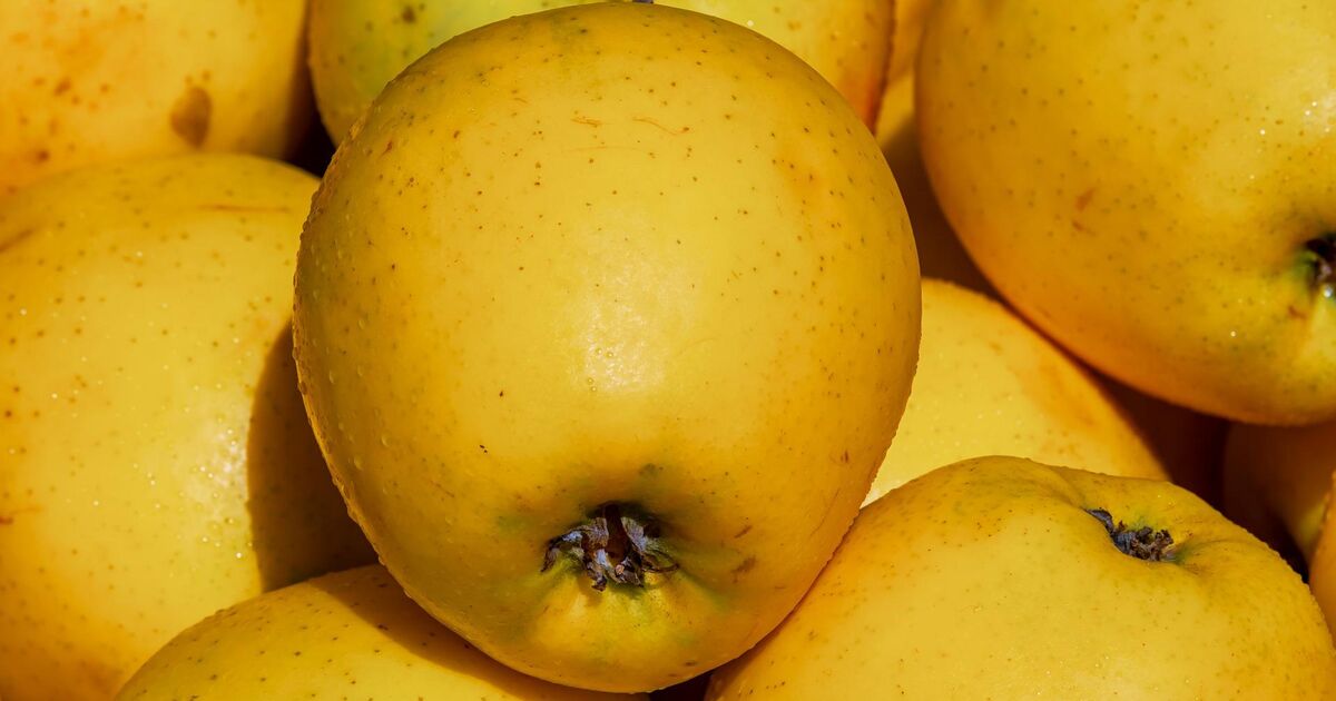 Od zlata jabuka - Užičko kolo - RTS Planeta