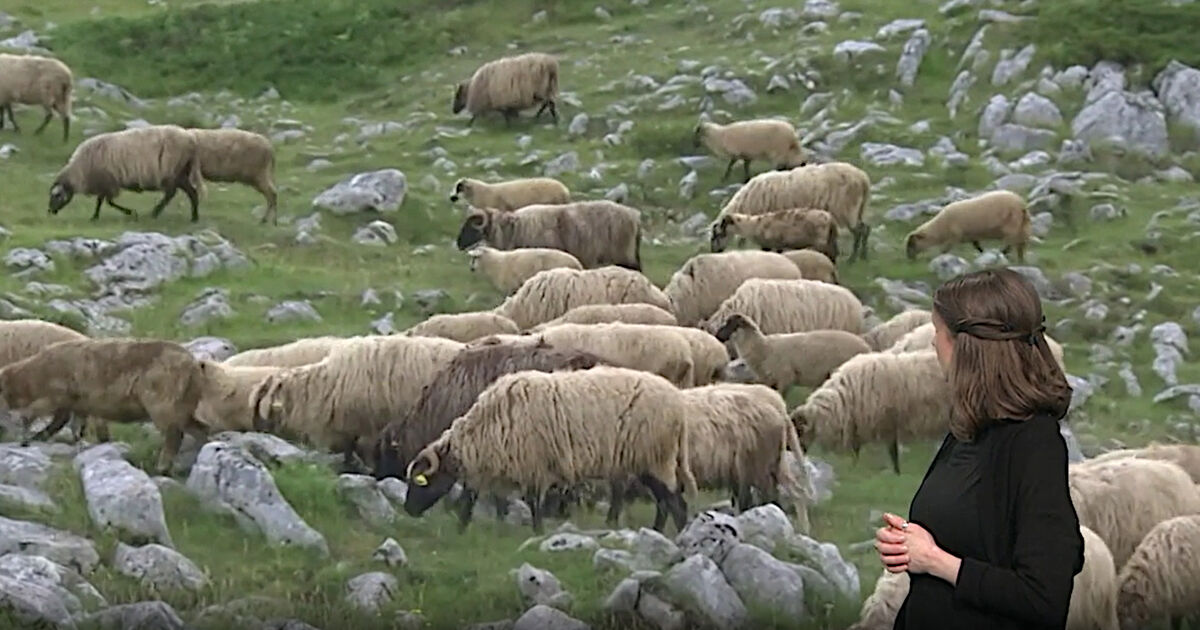 Kvadratura kruga: Čudesna planina u srcu Crne Gore (SZJ) - RTS Planeta