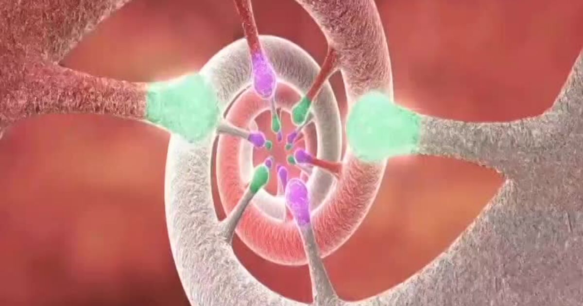 Nauka 50 – DNK - RTS Planeta