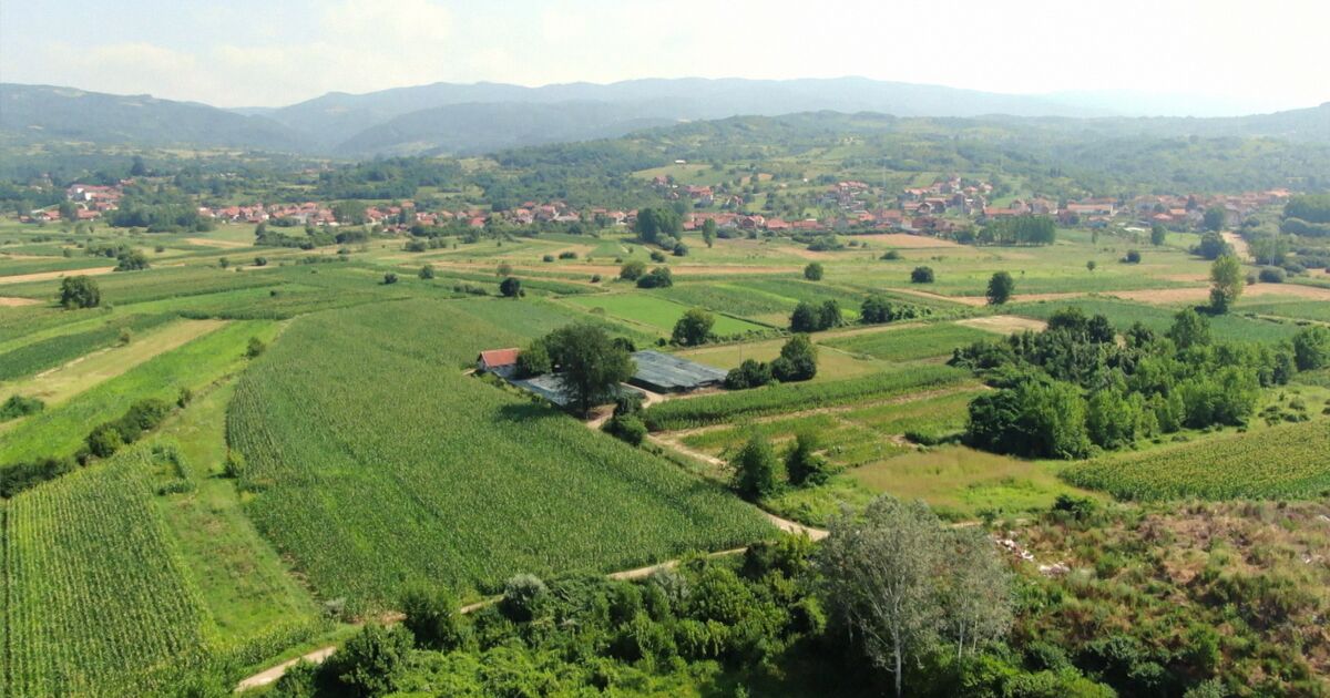 Lov i ribolov: Šumsko gazdinstvo “Šuma Leskovac“, 2. deo - RTS Planeta