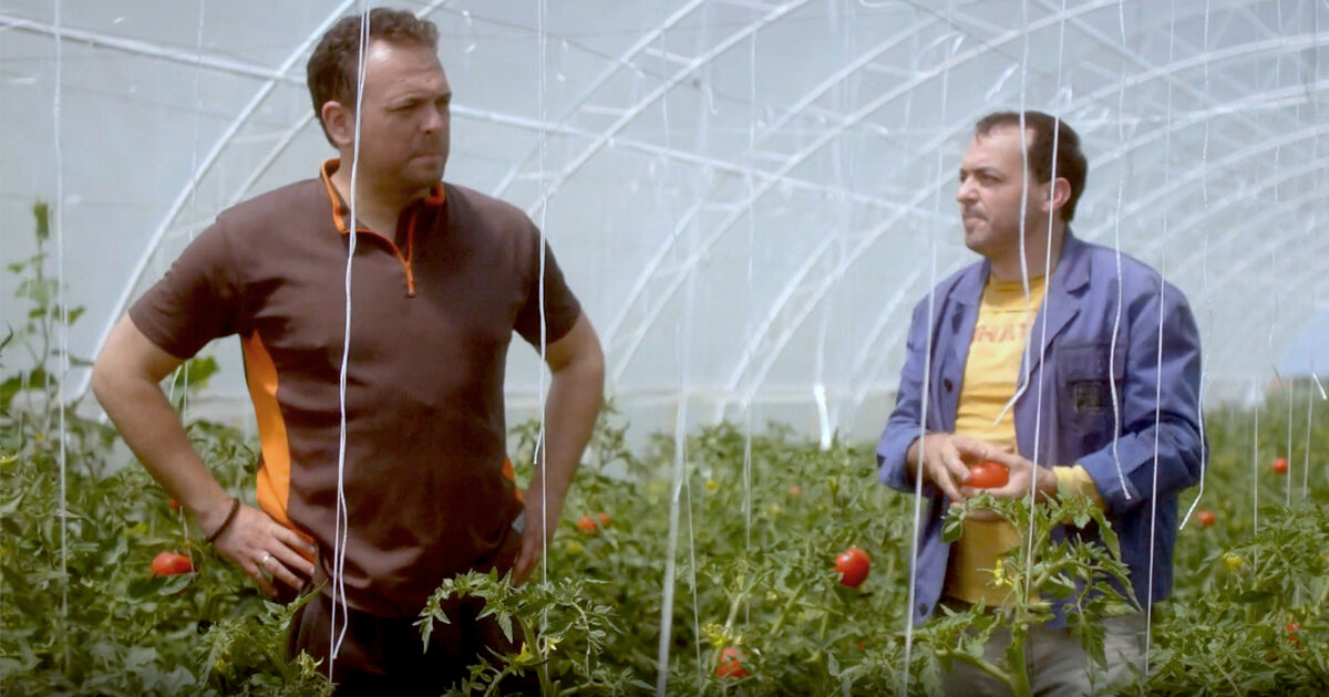 Selo gori, a baba se češlja (5. sezona) (11. epizoda) - RTS Planeta