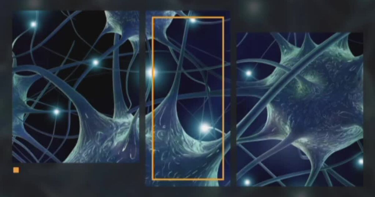 Nauka 50 – Ćelija - RTS Planeta