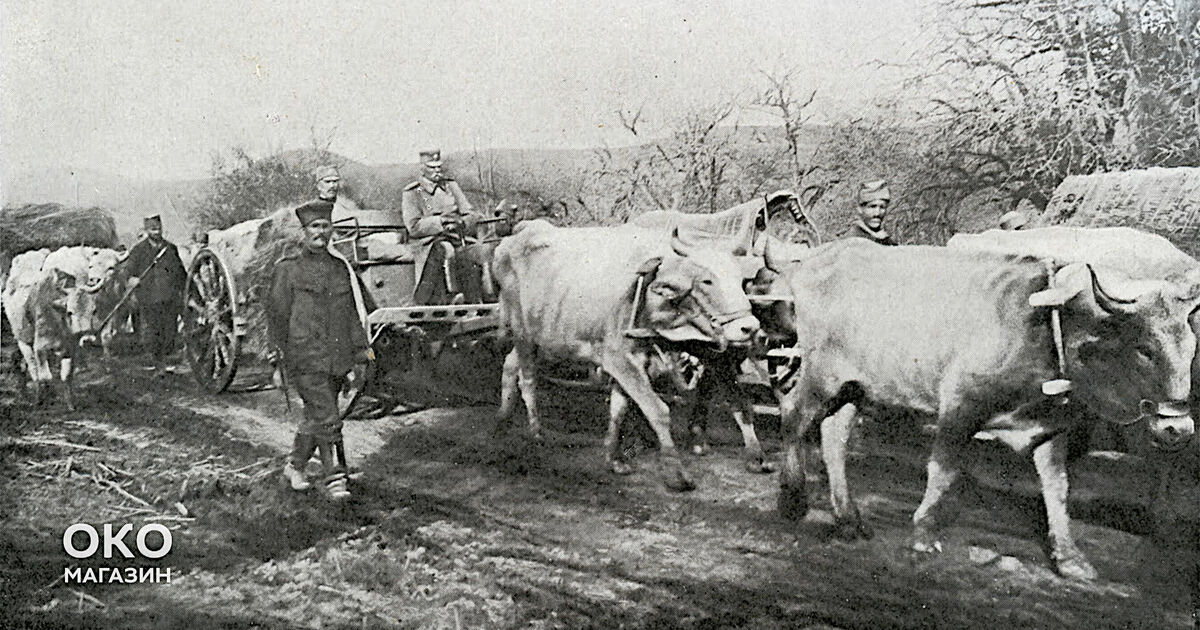 Oko magazin: Život pisca na Balkanu – srpska književnost i Veliki rat - RTS Planeta