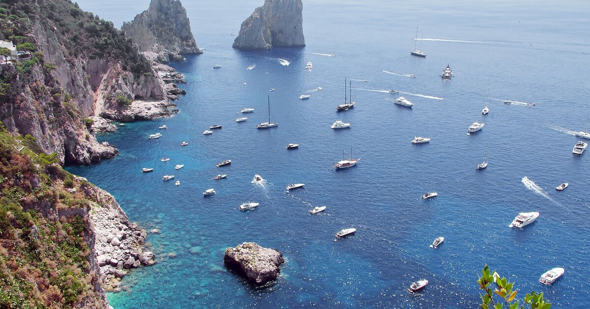 Put svile – Kapri - RTS Planeta