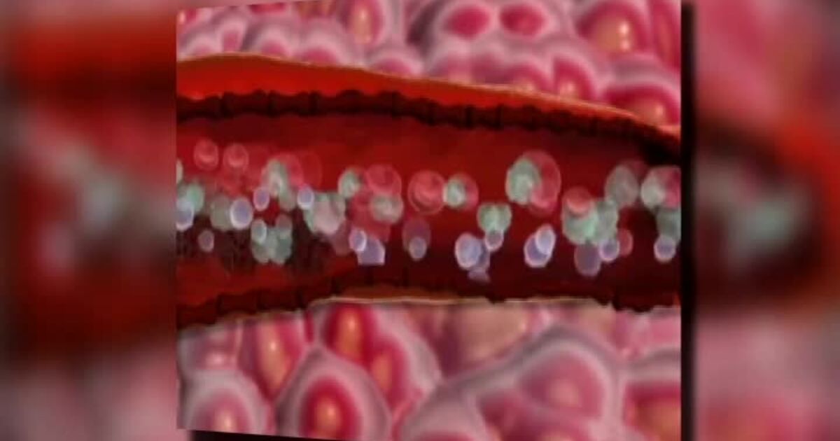 Nauka 50 – Rak - RTS Planeta