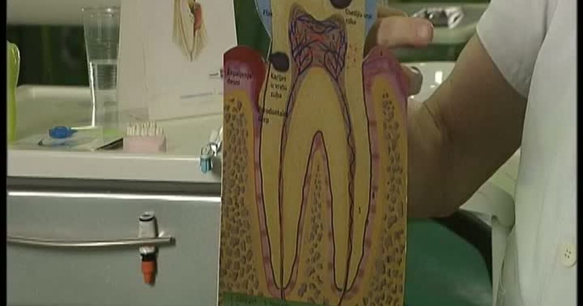 Nauka 50 – Zub - RTS Planeta