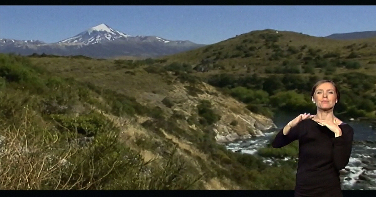 Netaknuta priroda Patagonija – Nacionalni park Lanin - RTS Planeta