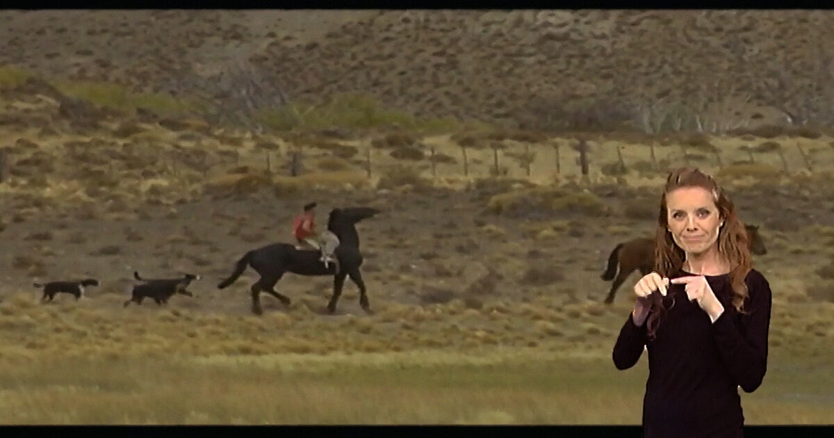 Netaknuta priroda Patagonija – Nacionalni park Los Alerces - RTS Planeta