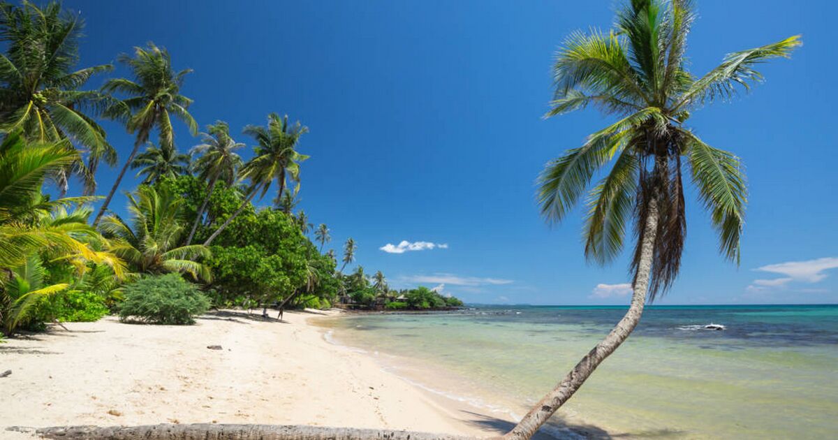 Put svile - KO MAK - RTS Planeta